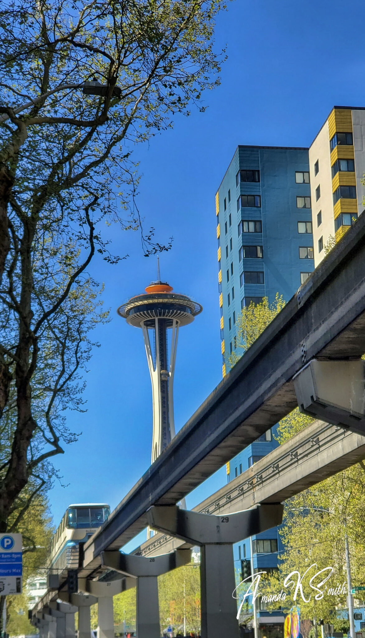 Seattle Monorail - Vivid Frame Photography